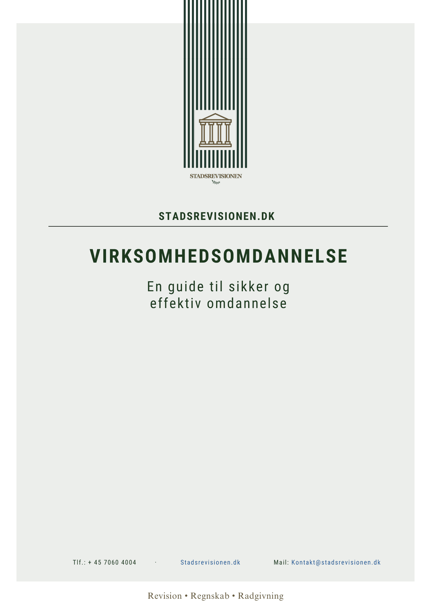 E-bog om virksomhedsomdannelse - Stadsrevisionen